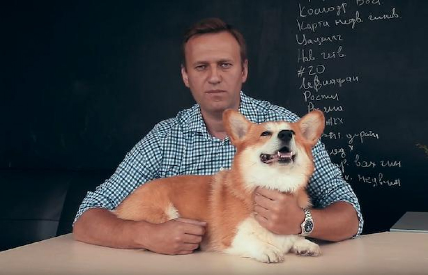 Navalny: Russian Deputy Prime Minister Uses Undeclared Lavish Private Plane