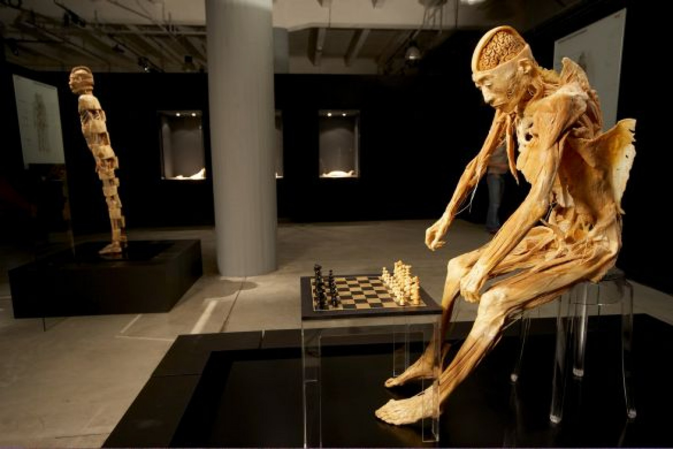 Anatomy Exhibit Displays 20 Afterlife Travellers