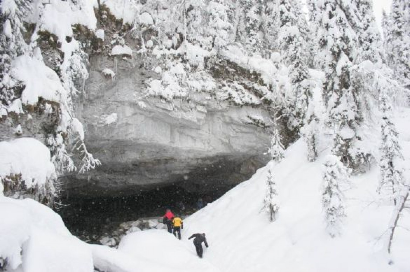 'Yeti Fur' Found in Siberian Cave