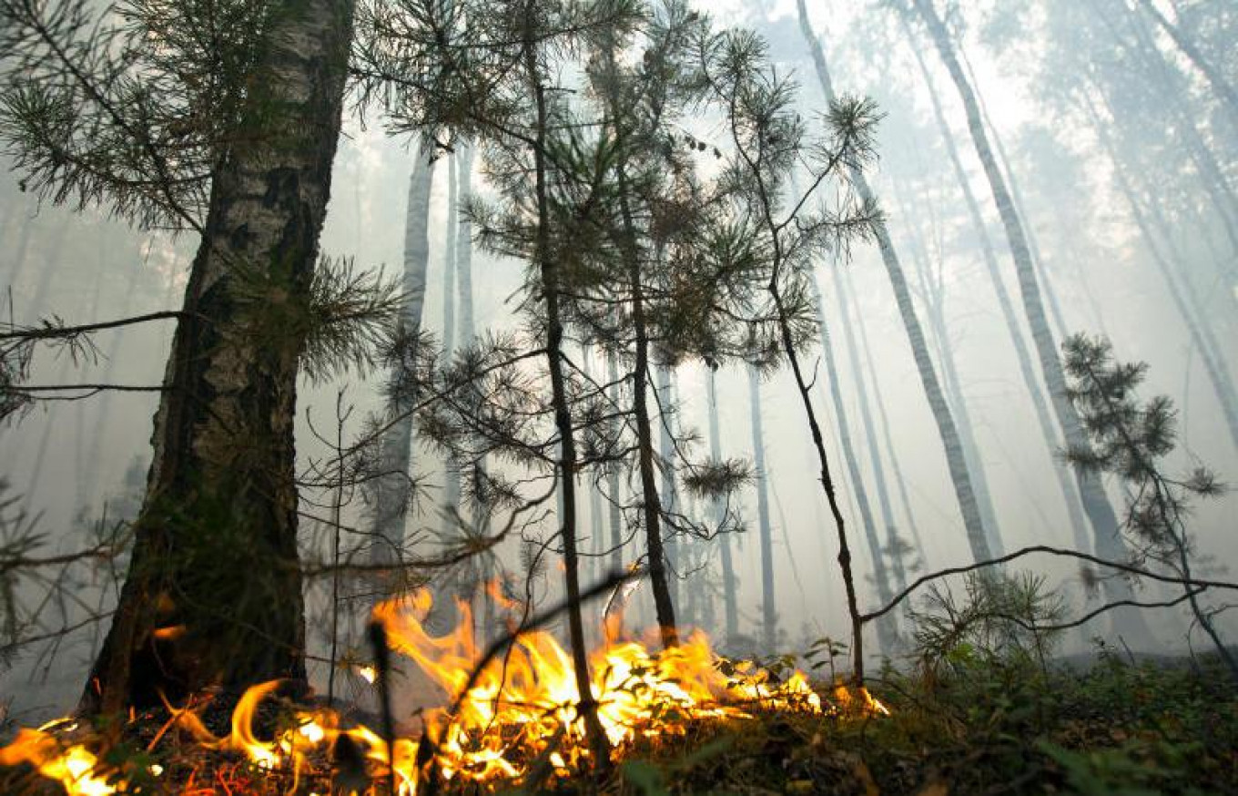 Siberian Forest Fires Triple in Size as Hundreds Battle Blaze
