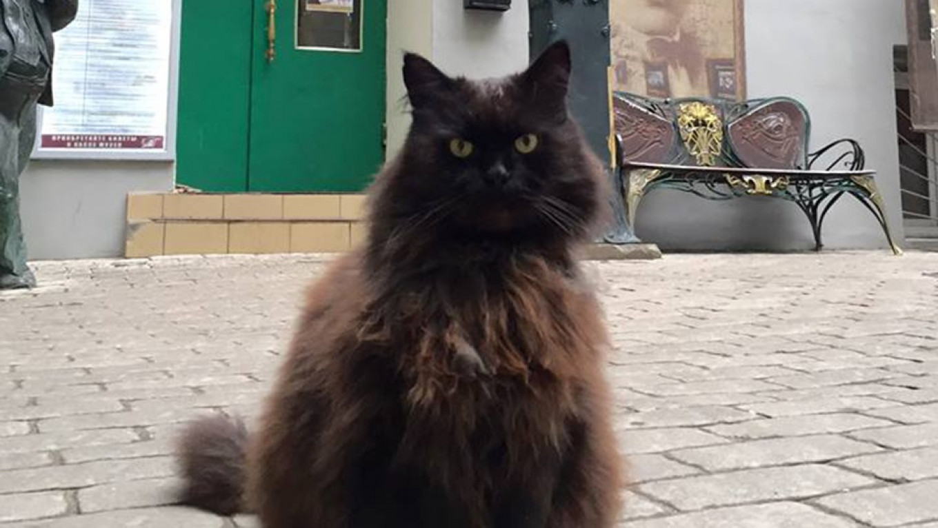 'Begemot' Cat Abducted in Central Moscow’s Bulgakov House