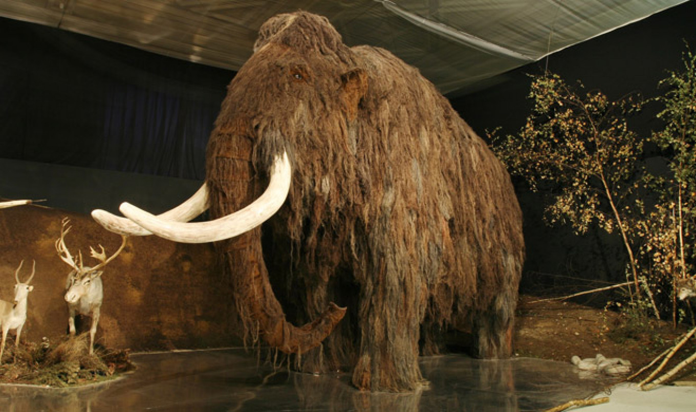 Woolly Mammoth Research Center to Launch Amid Cloning Efforts