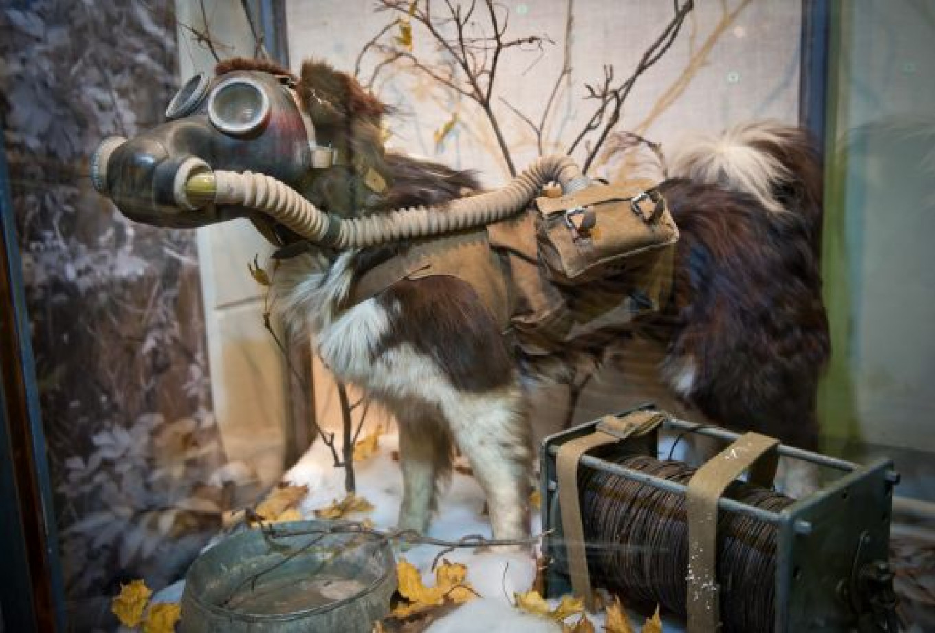 Animals' Military Role Remembered in St. Pete