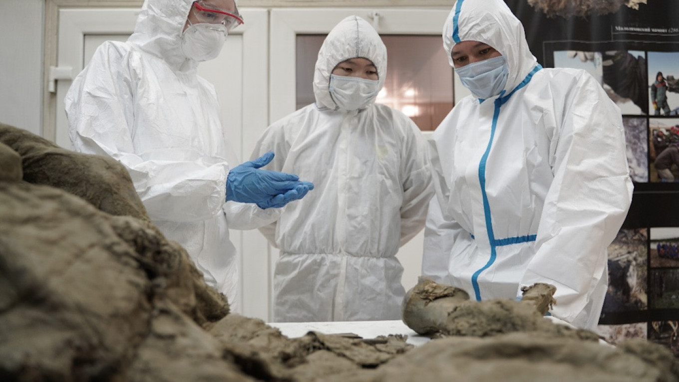 Russian Scientists Probe Prehistoric Viruses Dug From Permafrost - The ...