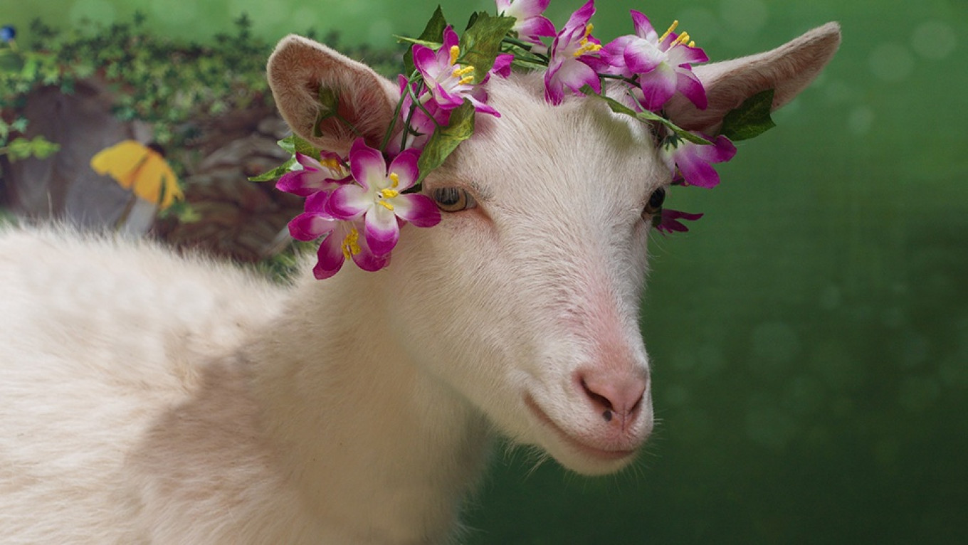 Goat Optimistic on Russia's Match With Uruguay