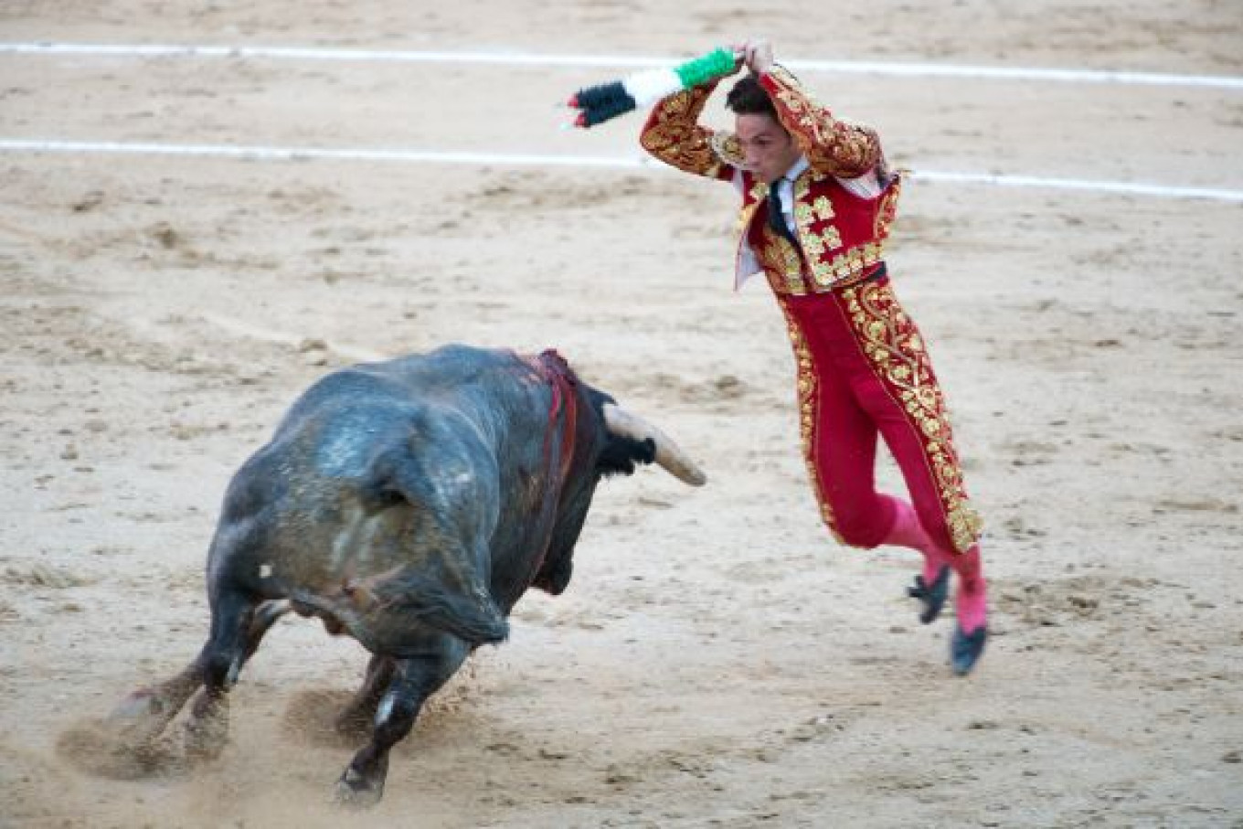 Capturing Bullfight Festival on Camera