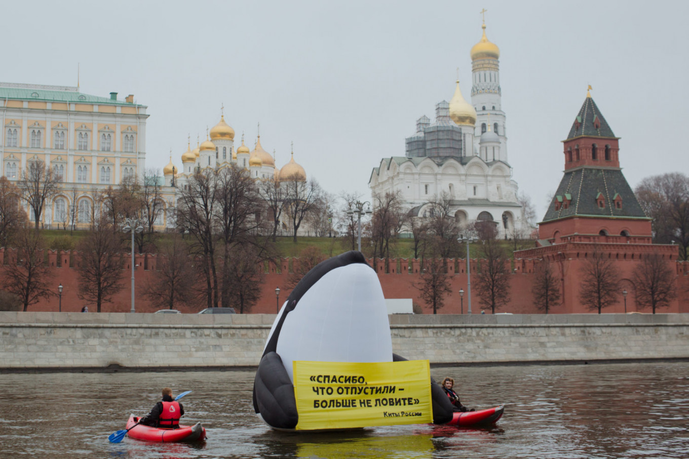 Russian Activists Detained Over Giant Blow-Up Whale Protest Near ...