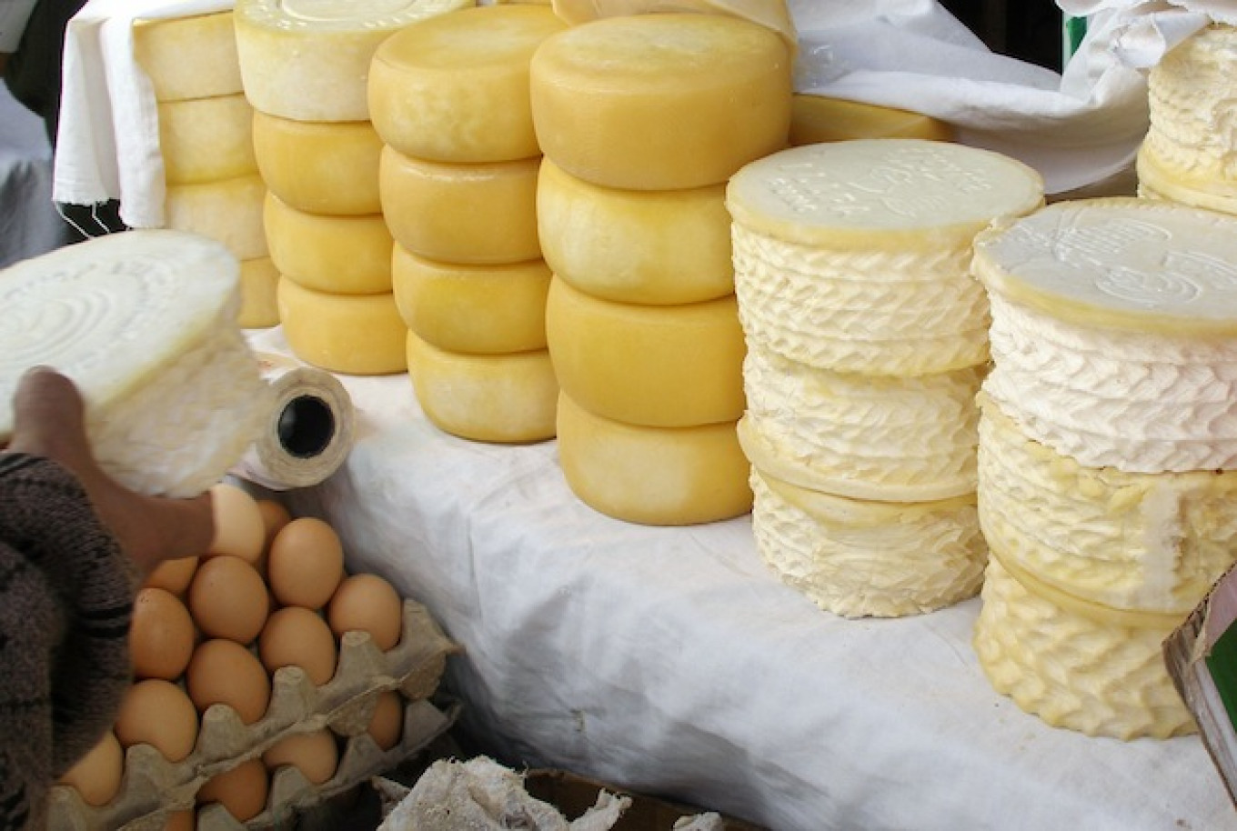Russians Turn to DIY Ways to Make Cheese as Food Ban Bites
