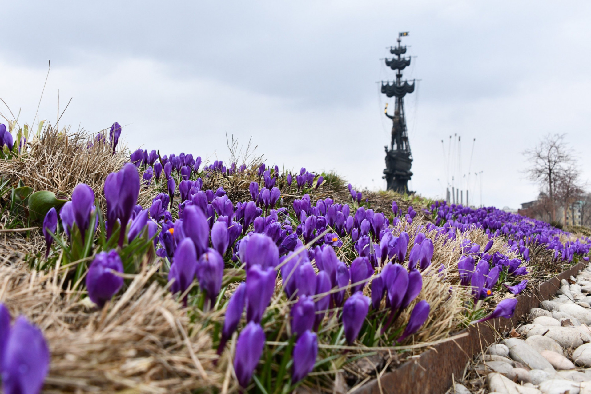 Sun's Up: Spring in Moscow - The Moscow Times