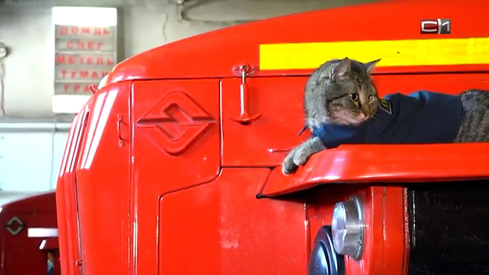 Videos - The Moscow Times