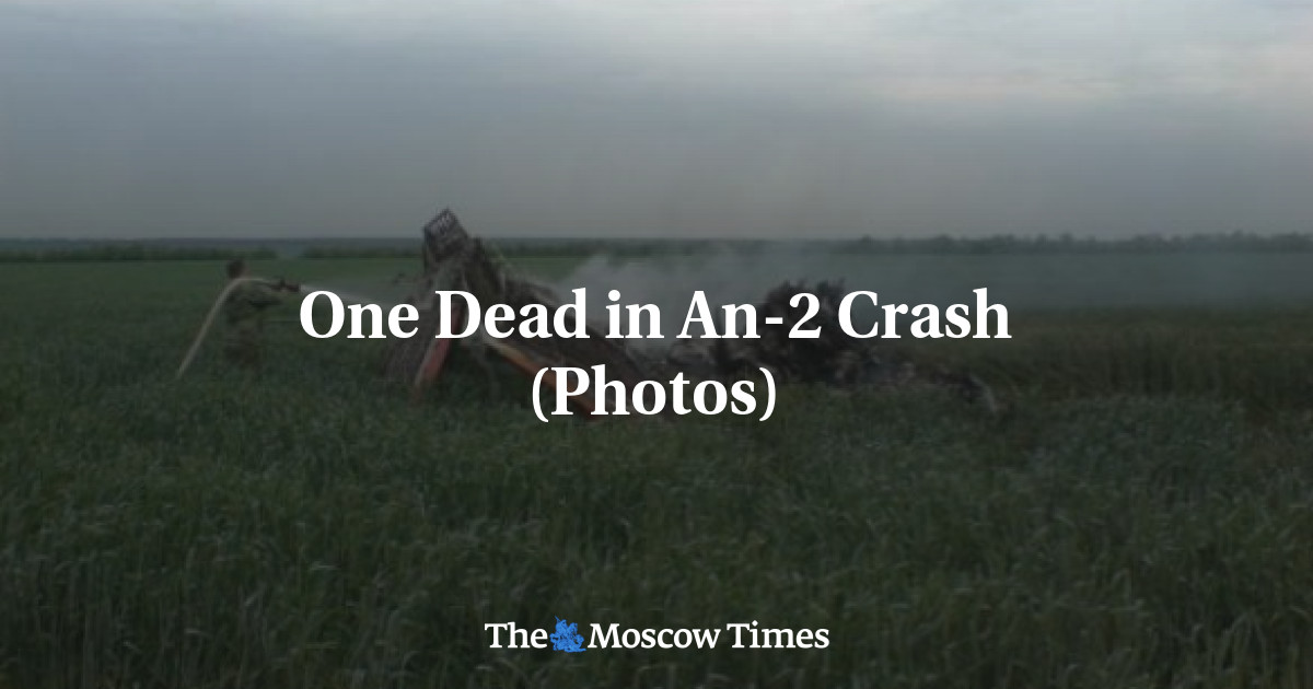 One Dead in An-2 Crash (Photos)