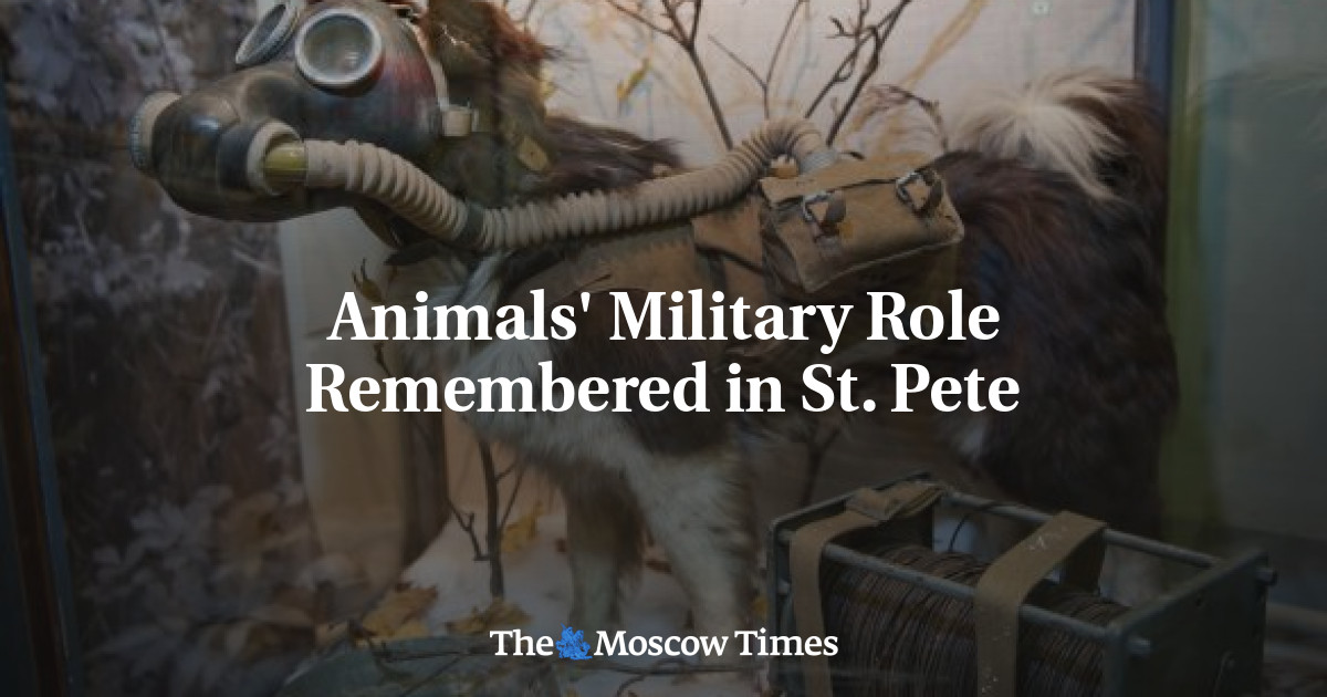 Animals' Military Role Remembered in St. Pete
