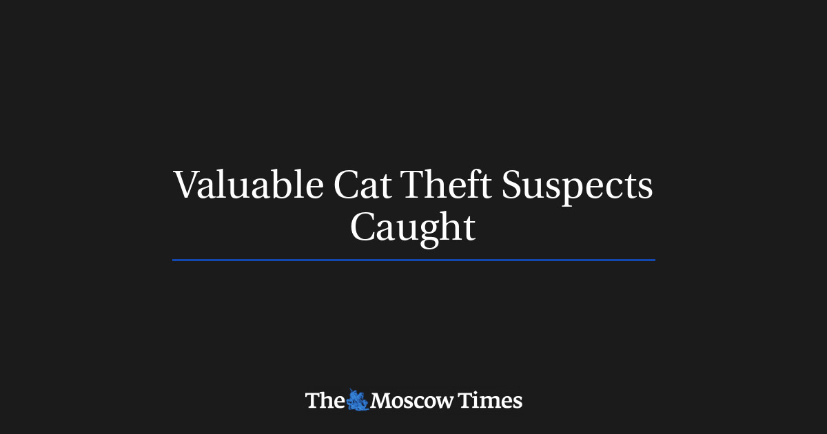 Valuable Cat Theft Suspects Caught