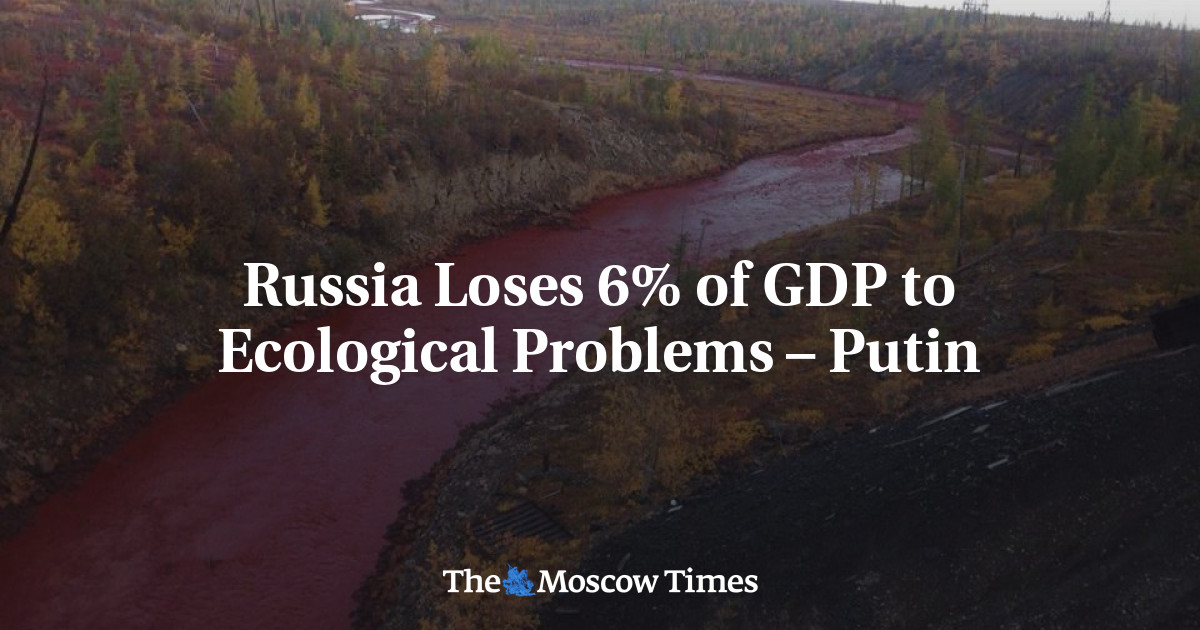 Russia Loses 6% of GDP to Ecological Problems – Putin
