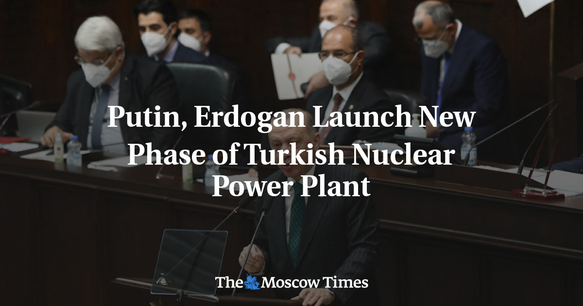 Putin, Erdogan Launch New Phase of Turkish Nuclear Power Plant - The ...