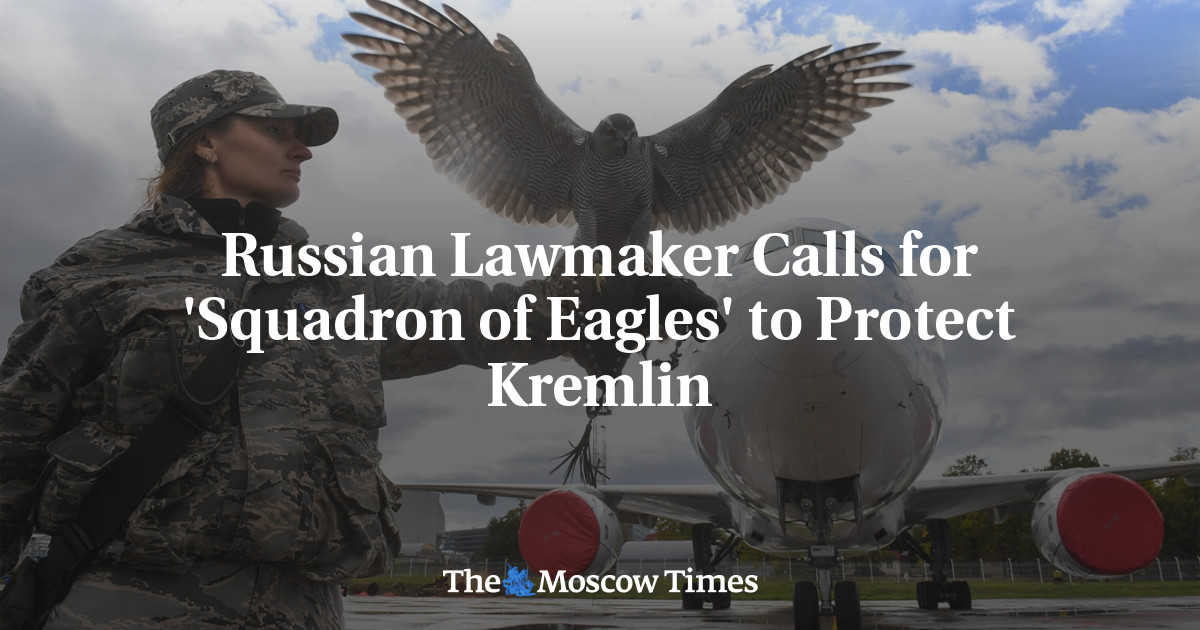Russian Lawmaker Calls for 'Squadron of Eagles' to Protect Kremlin ...