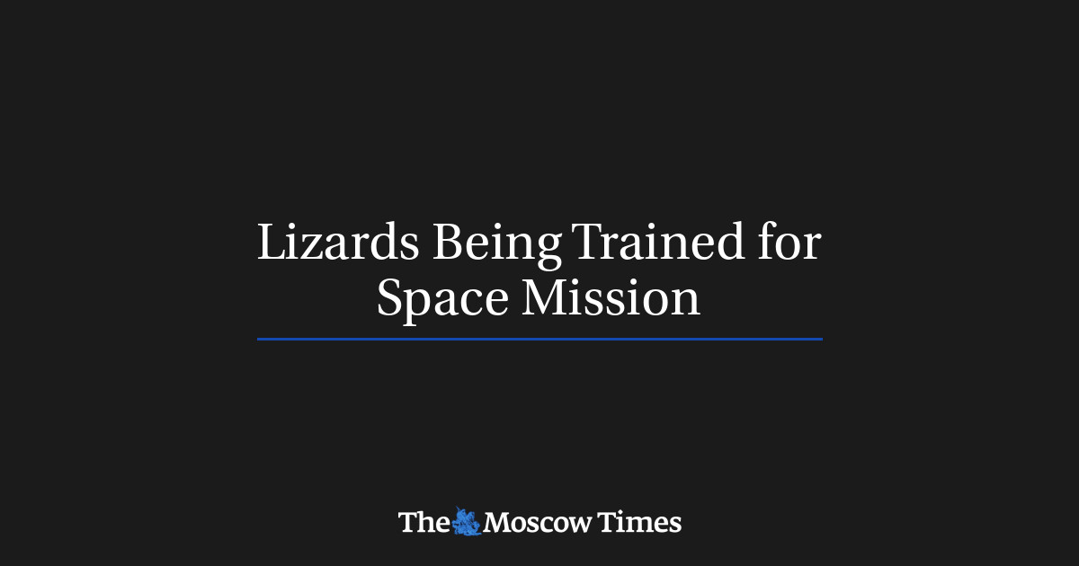 Lizards Being Trained for Space Mission