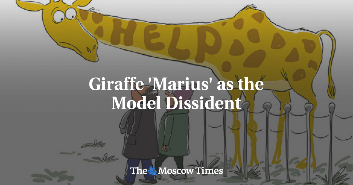 Giraffe 'Marius' as the Model Dissident