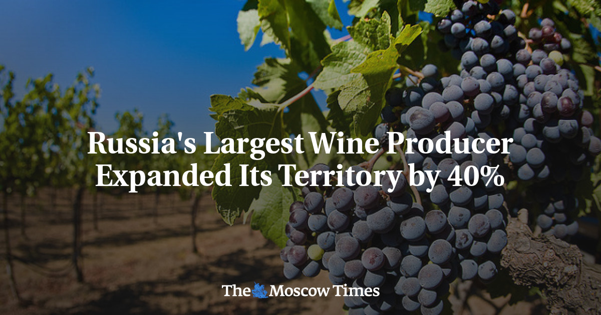 Russia's Largest Wine Producer Expanded Its Territory by 40%