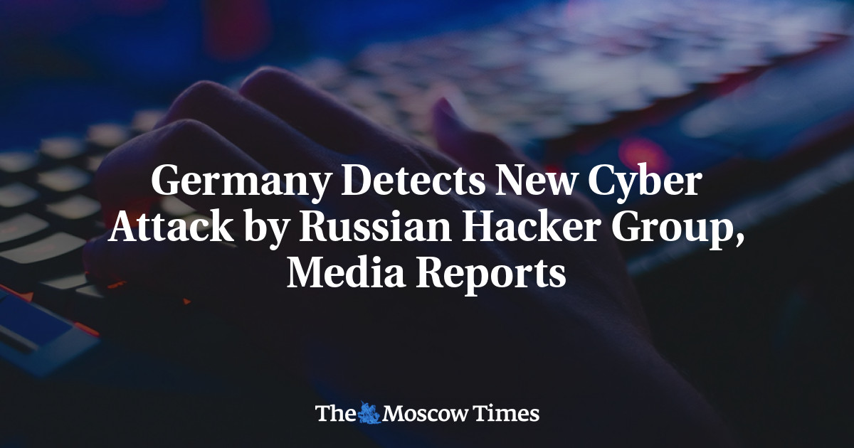 Germany Detects New Cyber Attack by Russian Hacker Group, Media Reports