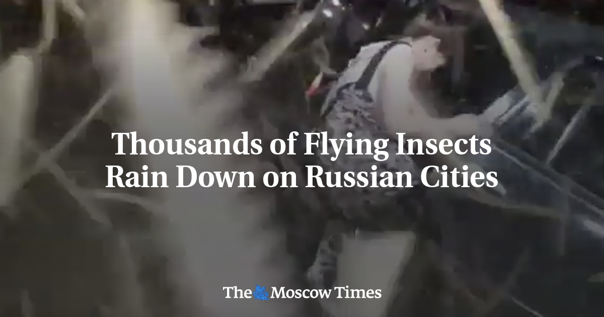 Thousands of Flying Insects Rain Down on Russian Cities - The Moscow Times