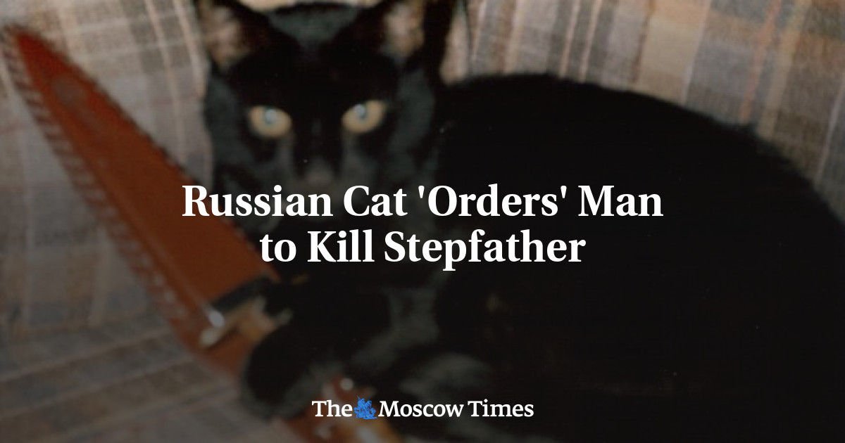 Russian Cat 'Orders' Man to Kill Stepfather