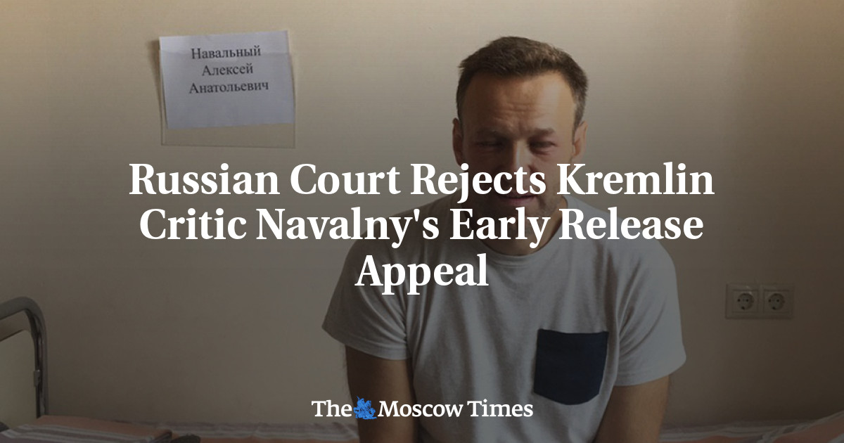 Russian Court Rejects Kremlin Critic Navalnys Early Release Appeal