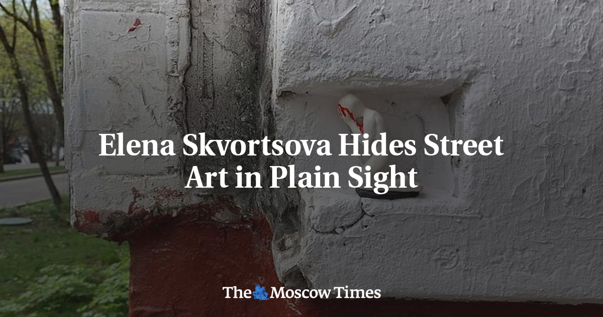 Elena Skvortsova Hides Street Art in Plain Sight - The Moscow Times