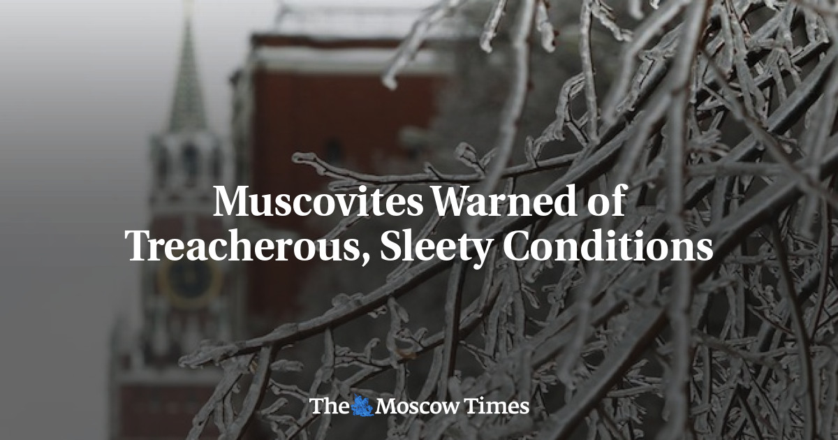 Muscovites Warned of Treacherous, Sleety Conditions