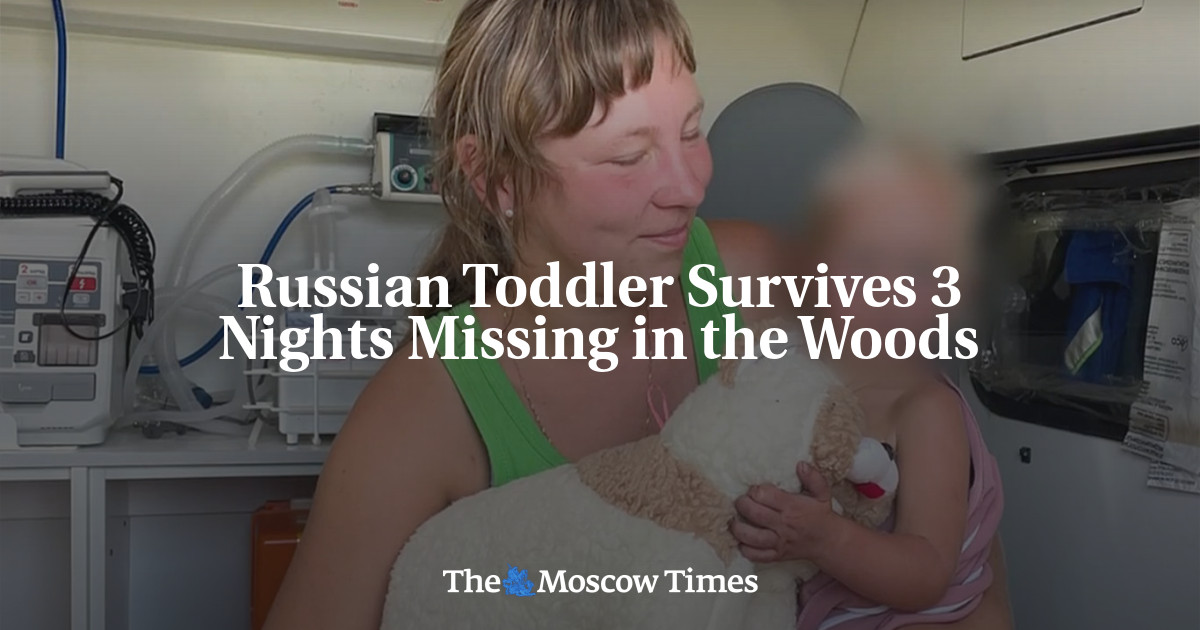 Russian Toddler Survives 3 Nights Missing in the Woods - The Moscow Times