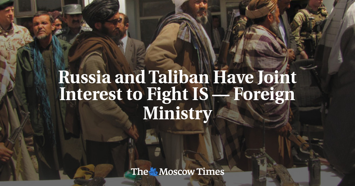 Russia and Taliban Have Joint Interest to Fight IS — Foreign Ministry