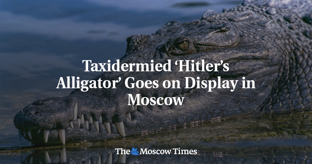 Taxidermied ‘Hitler’s Alligator’ Goes on Display in Moscow - The Moscow ...