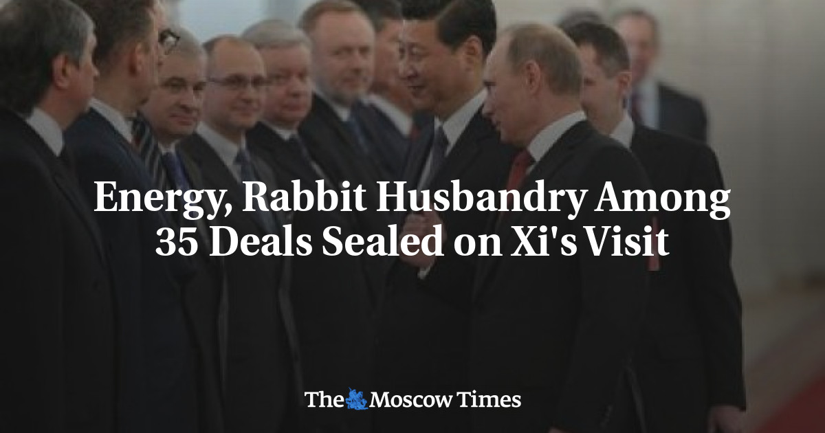 Energy, Rabbit Husbandry Among 35 Deals Sealed on Xi's Visit