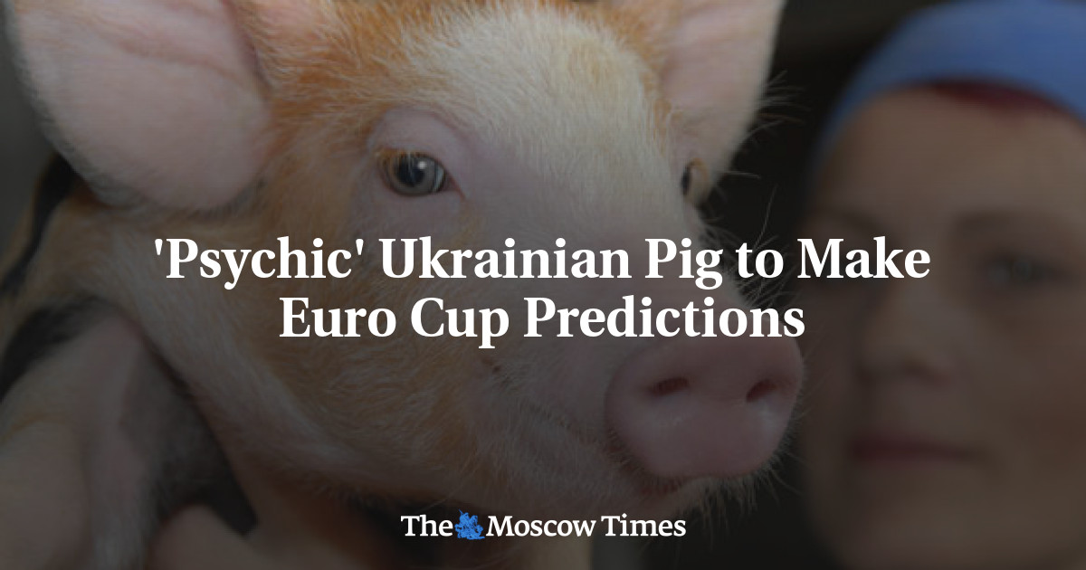 'Psychic' Ukrainian Pig to Make Euro Cup Predictions