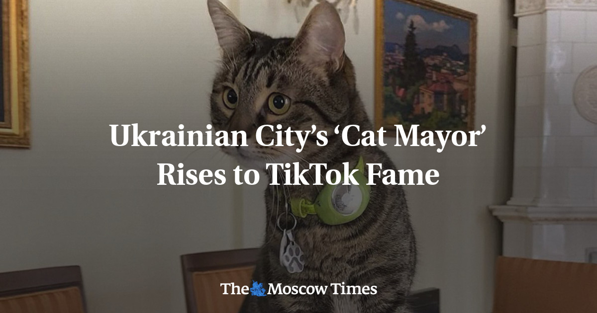 Ukrainian City’s ‘Cat Mayor’ Rises to TikTok Fame - The Moscow Times