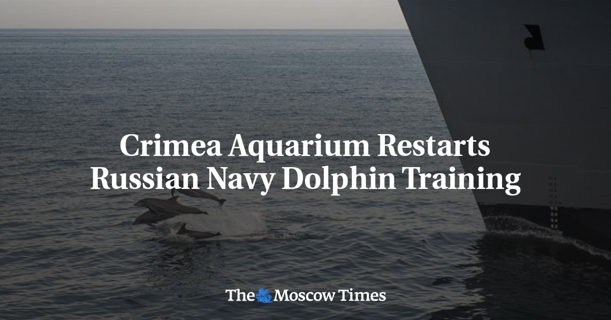 Crimea Aquarium Restarts Russian Navy Dolphin Training
