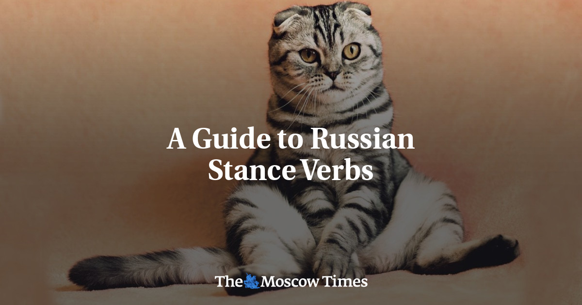 A Guide To Russian Stance Verbs The Moscow Times a-guide-to-russian-stance-verbs-the-moscow-times