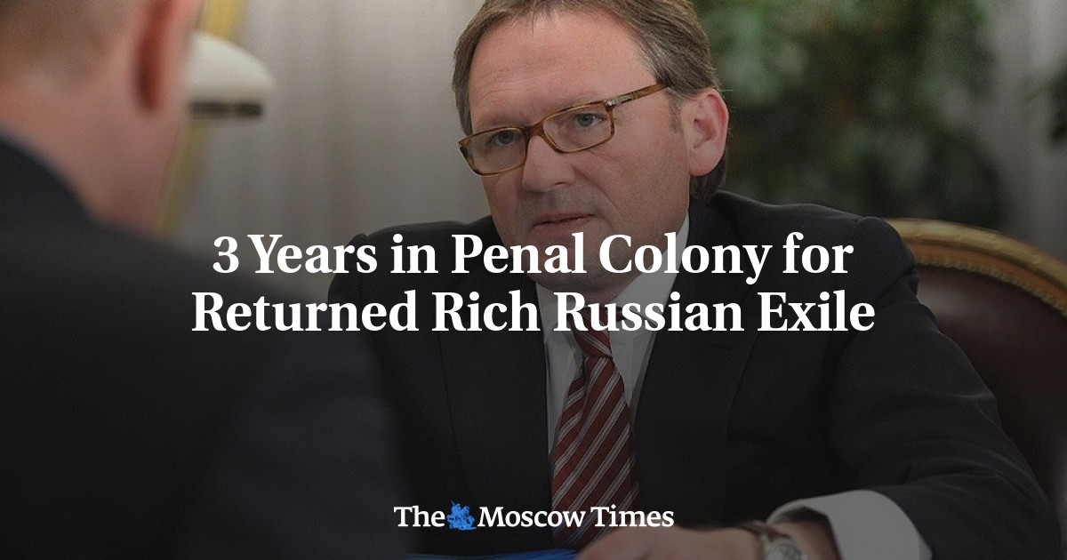 3 Years in Penal Colony for Returned Rich Russian Exile - The Moscow Times