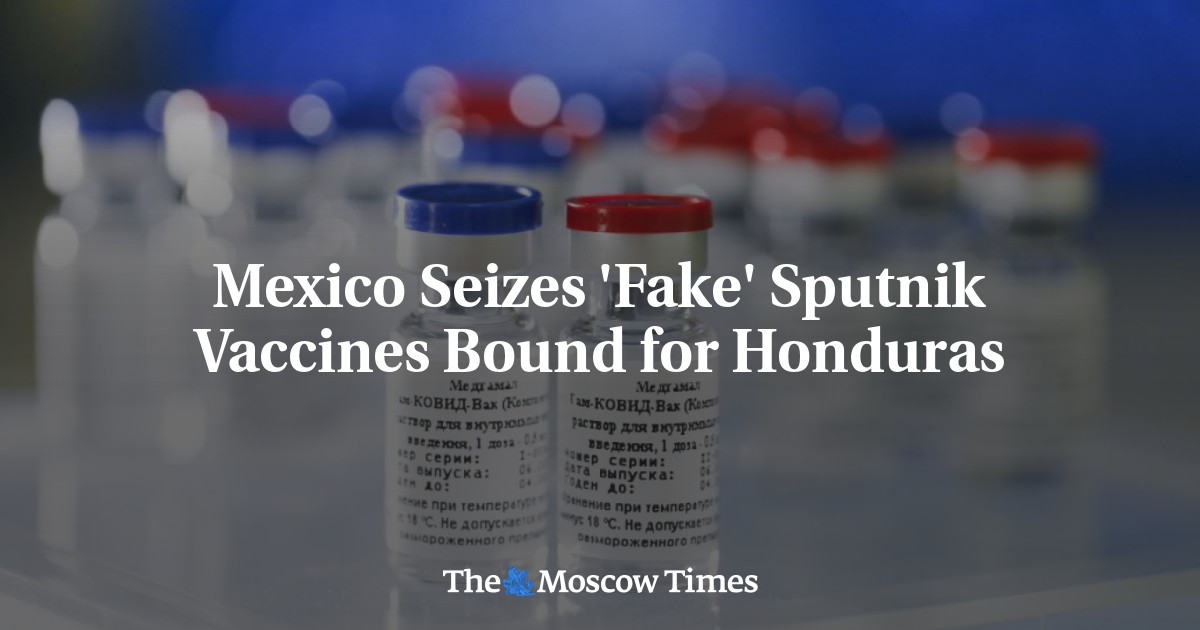 Mexico Seizes 'Fake' Sputnik Vaccines Bound for Honduras - The Moscow Times