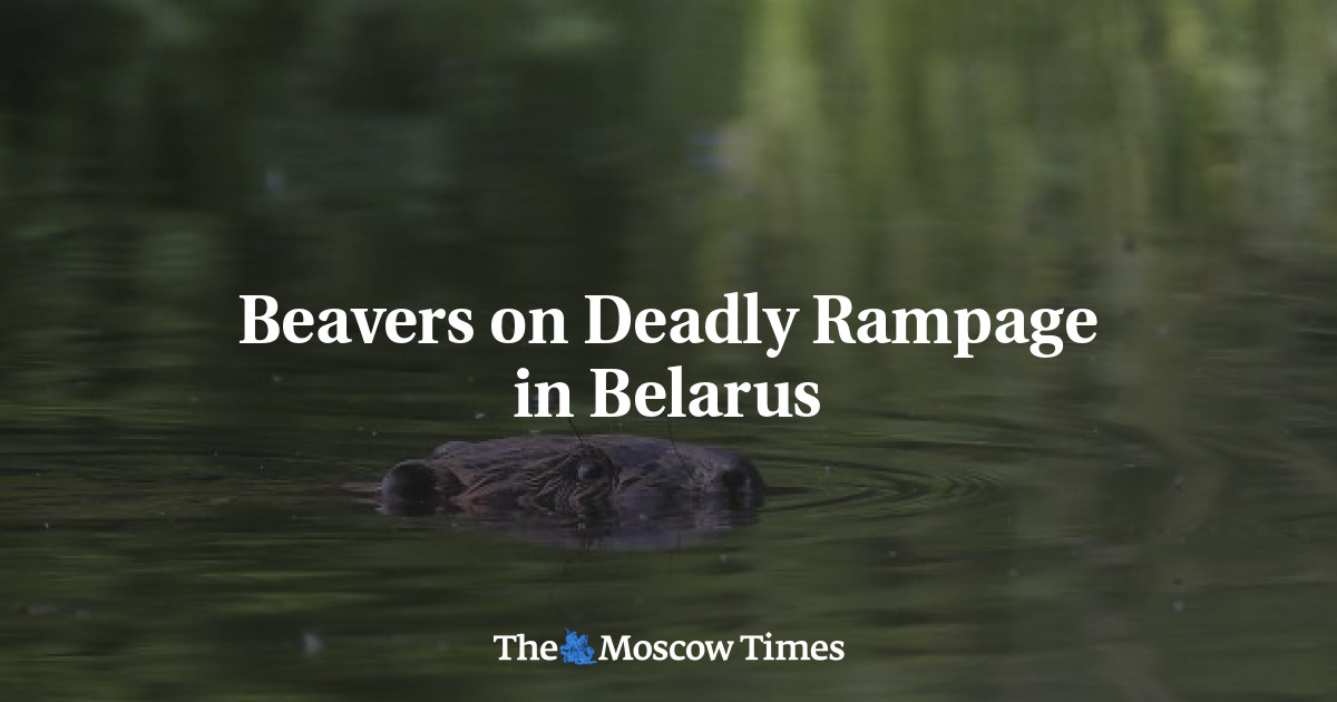 Beavers on Deadly Rampage in Belarus