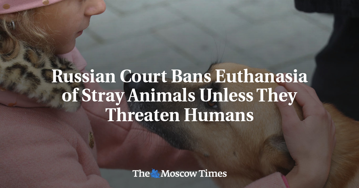 Russian Court Bans Euthanasia of Stray Animals Unless They Threaten ...
