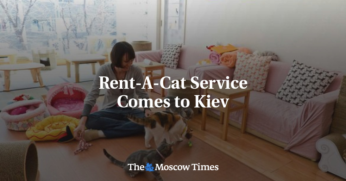 Rent-A-Cat Service Comes to Kiev