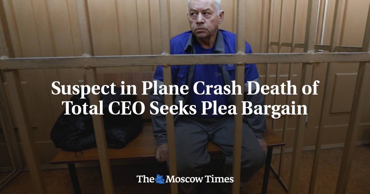 Suspect in Plane Crash Death of Total CEO Seeks Plea Bargain