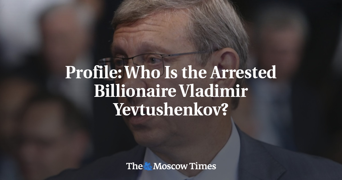 Profile: Who Is the Arrested Billionaire Vladimir Yevtushenkov?
