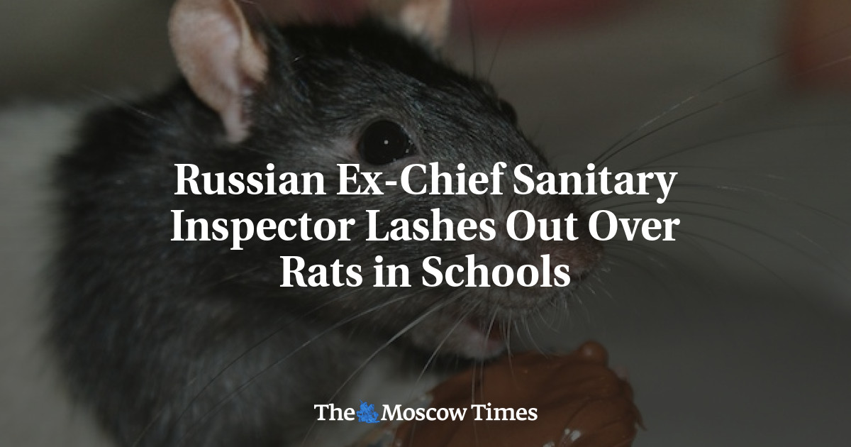 Russian Ex-Chief Sanitary Inspector Lashes Out Over Rats in Schools
