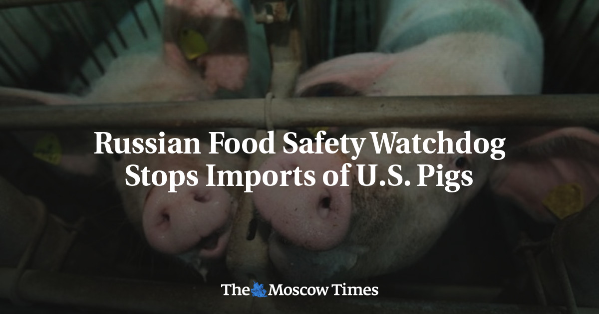 Russian Food Safety Watchdog Stops Imports of U.S. Pigs