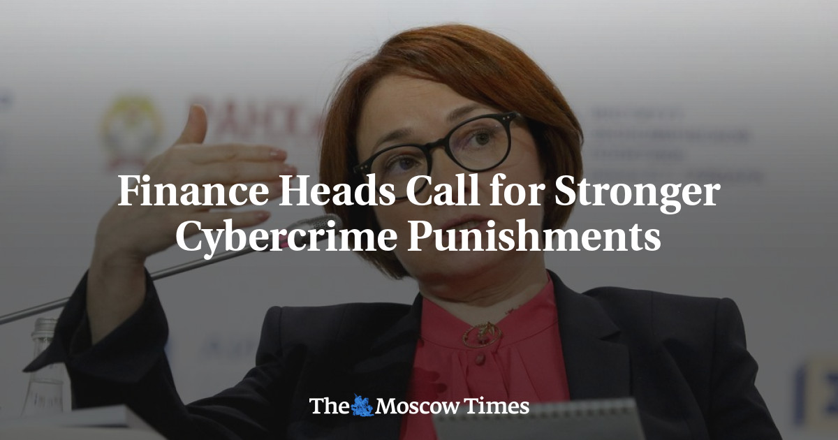 Finance Heads Call for Stronger Cybercrime Punishments - The Moscow Times
