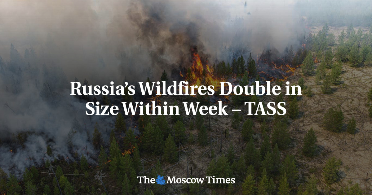 Russia’s Wildfires Double in Size Within Week – TASS - The Moscow Times