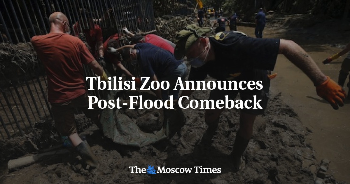 Tbilisi Zoo Announces Post-Flood Comeback