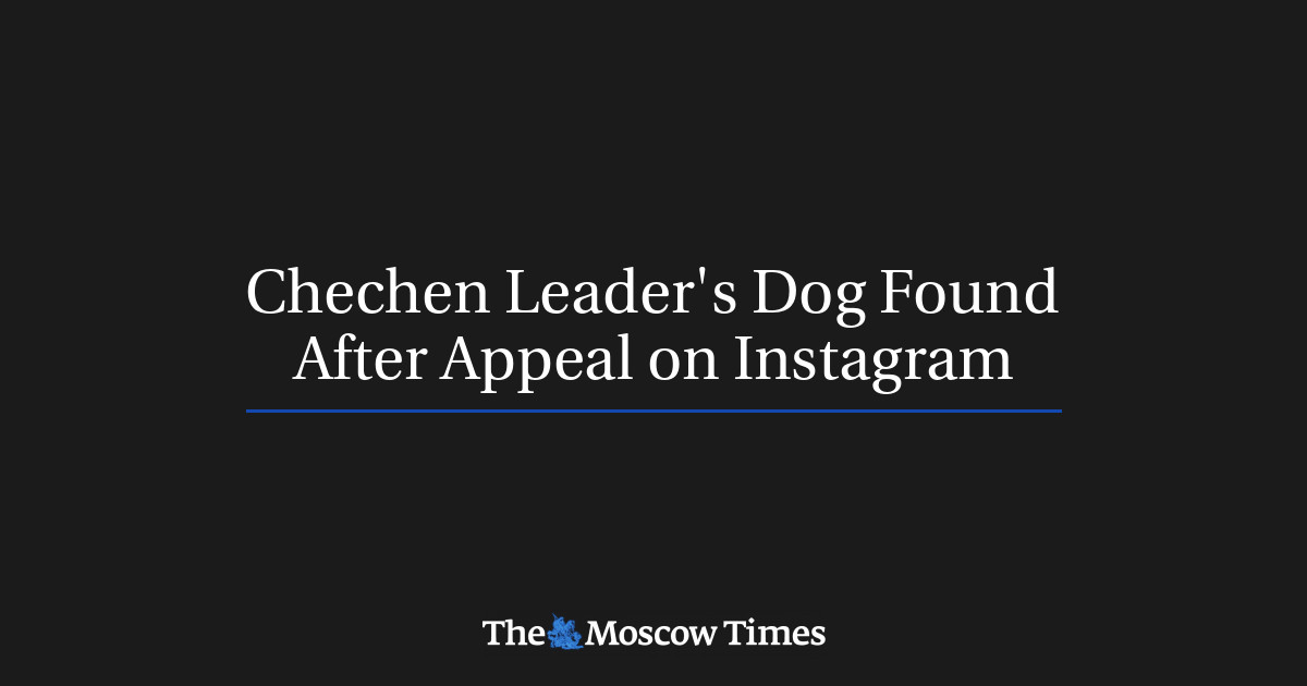 Chechen Leader's Dog Found After Appeal on Instagram